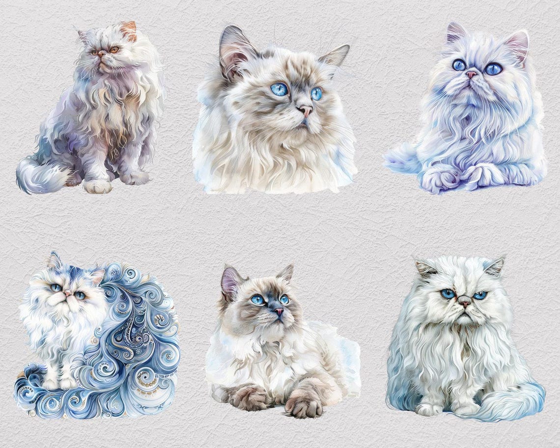 36 Beautiful Cats Clipart PNG Bundle Transparent Background Clip Art ...