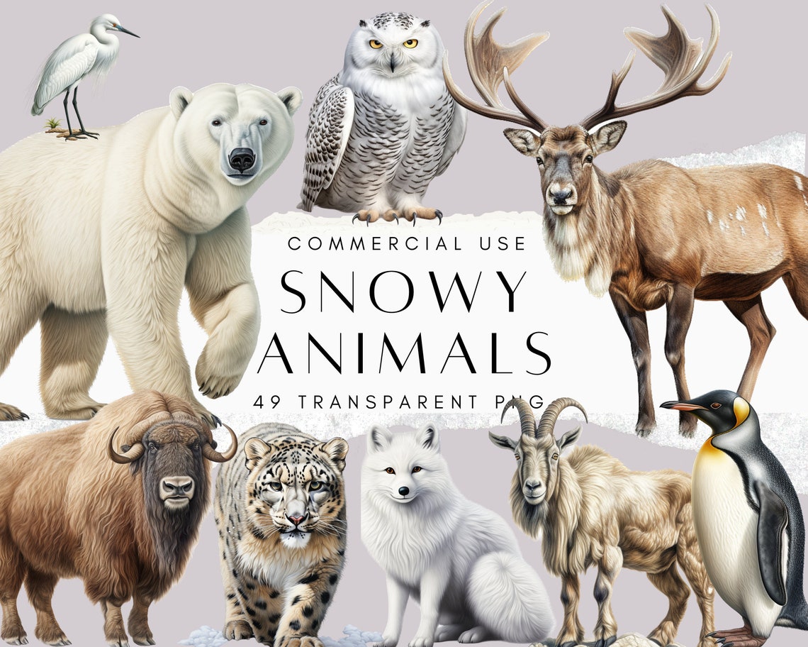 49 Snow Animals Clipart PNG Bundle, Transparent Clip Art for Kids ...