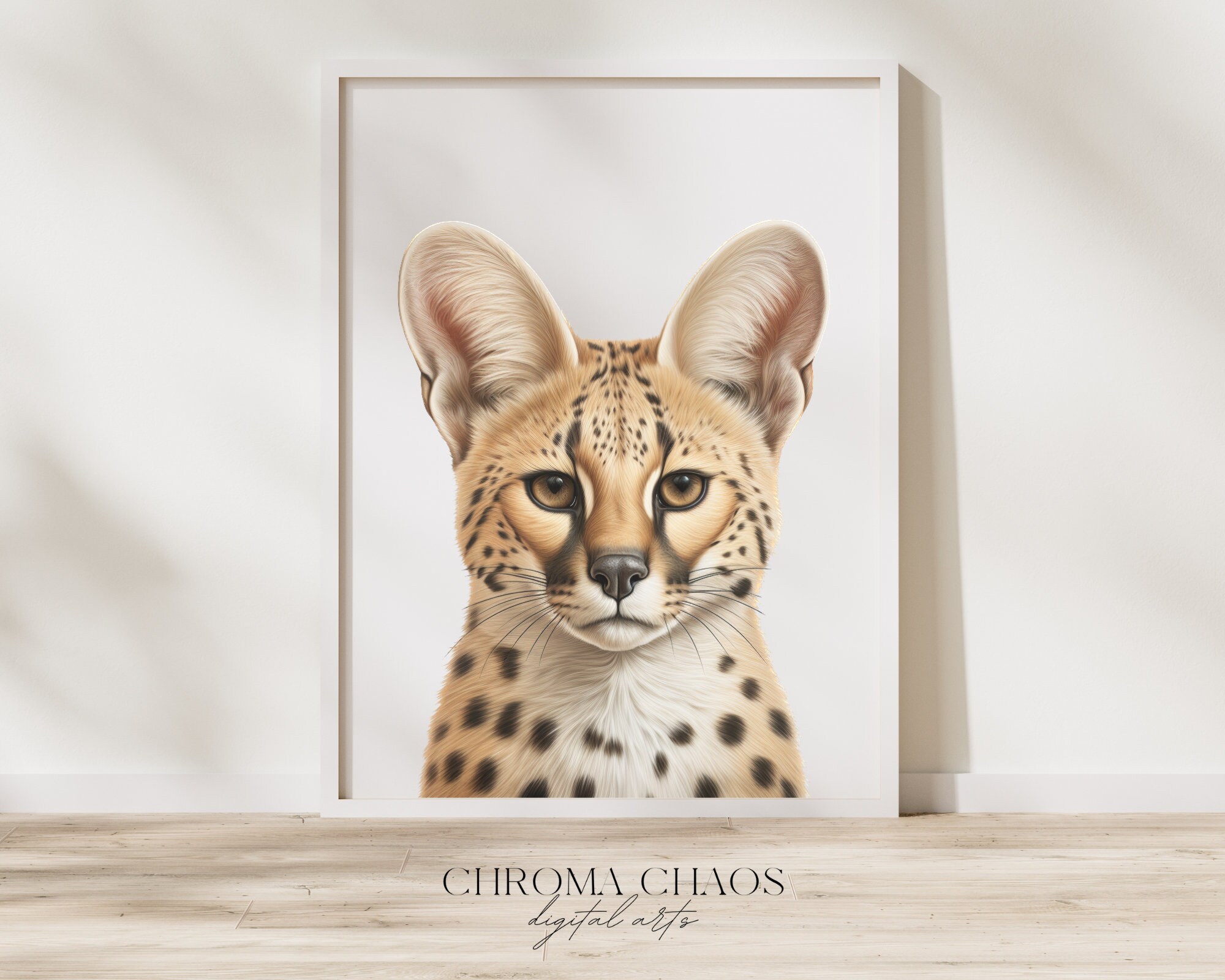 66 Night Animals Clipart PNG Bundle, Transparent Clip Art for Kids ...