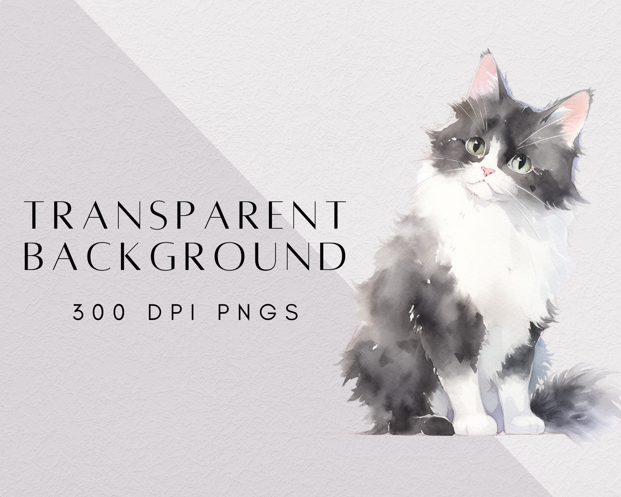 44 Fluffy Kittens Clipart Kitten Family PNG Cat Clipart Cat - Etsy