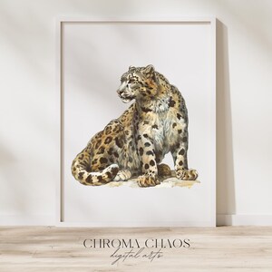 34 Big Cats Animals Clipart PNG Bundle Transparent Background Clip Art ...
