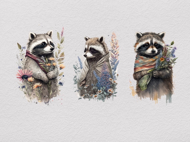 Cute Baby Raccoon Wearing a Scarf PNG, Watercolor Clipart, Transparent ...