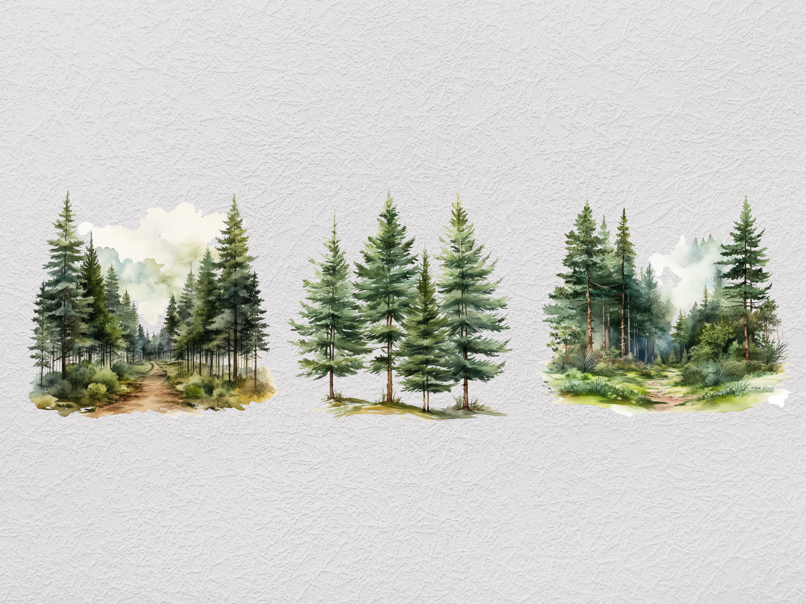 Pine Tree Forest Clipart Bundle, Transparent PNG, Beautiful Watercolor ...