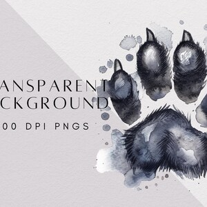56 Watercolor Dog Paws Clip Art, Transparent PNG, Beautiful Dog Paws ...