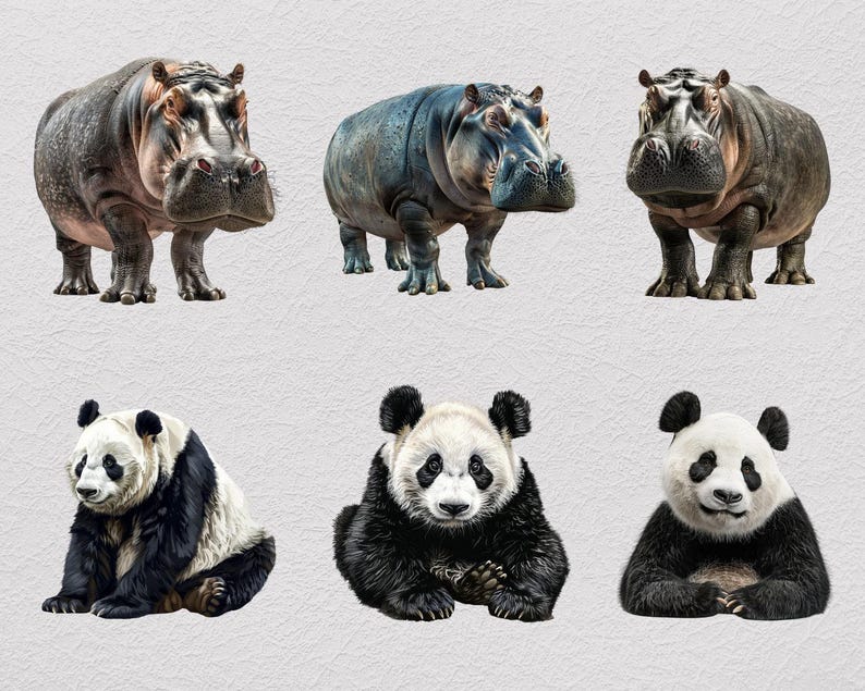 Mammals Clipart PNG Bundle, Transparent Clip Art for Kids Activity ...