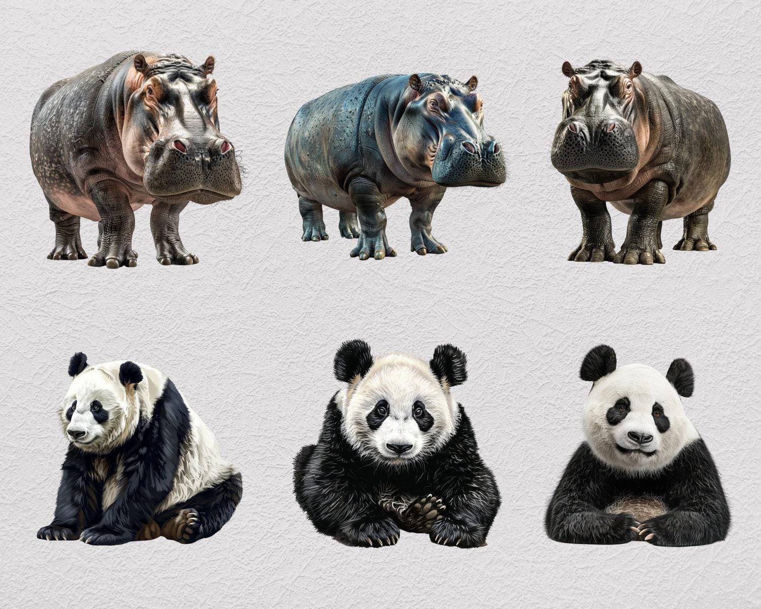 Mammals Clipart PNG Bundle, Transparent Clip Art for Kids Activity ...