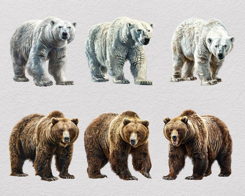 Mammals Clipart PNG Bundle, Transparent Clip Art for Kids Activity ...