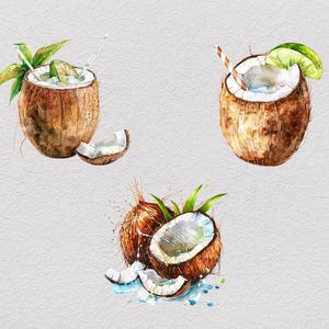 Summer Coconut Drinks Beach Clipart PNG Bundle Transparent Background ...