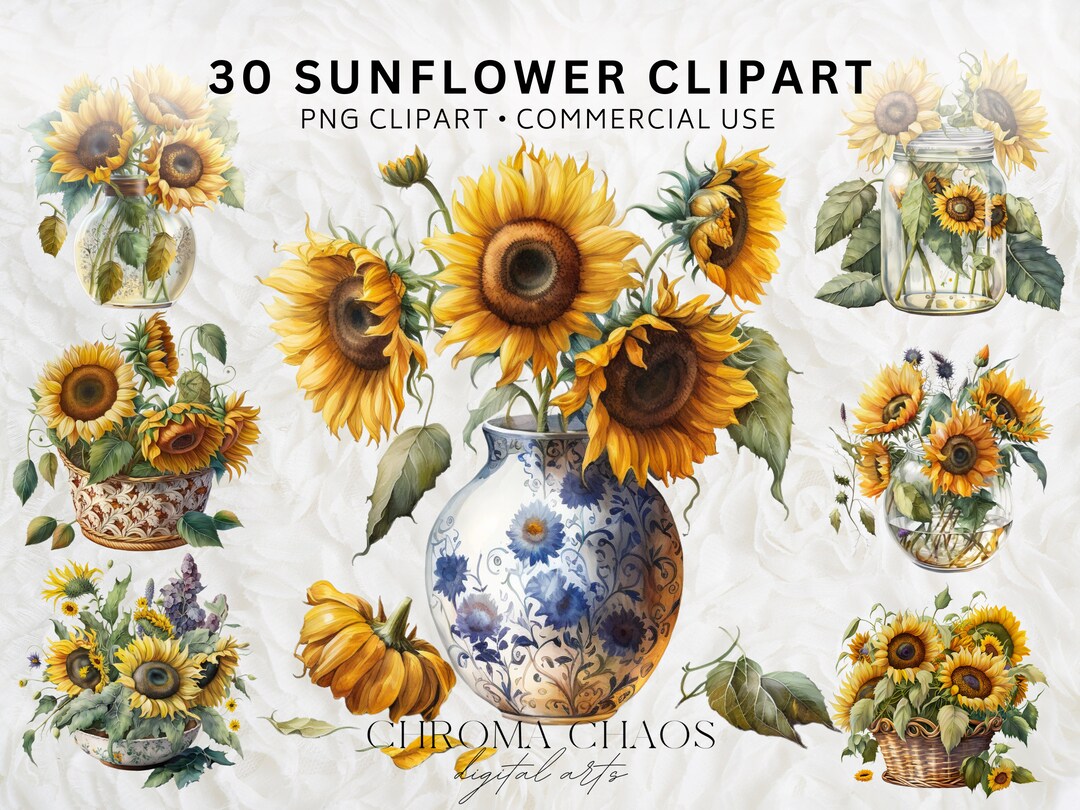 30 Watercolor Sunflowers Clip Art, Sunflower Floral Bouquets in PNG ...
