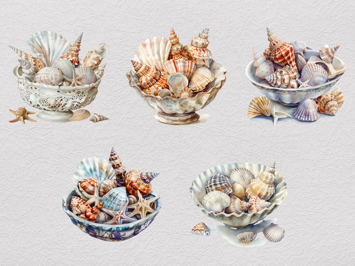 Seashell Collection Summer Clipart PNG Bundle Transparent Background ...