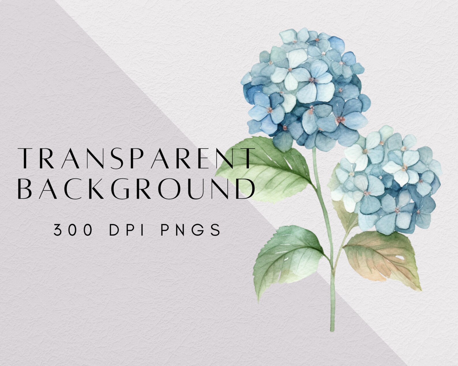 Hydrangea Clipart, Hidrangea Floral Bouquets in PNG Format Instant ...