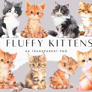 44 Fluffy Kittens Clipart, Kitten Family PNG, Cat Clipart, Cat PNG ...