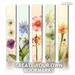 Spring Clip Art Bundle: 12 High-res PNG File With Transparent ...