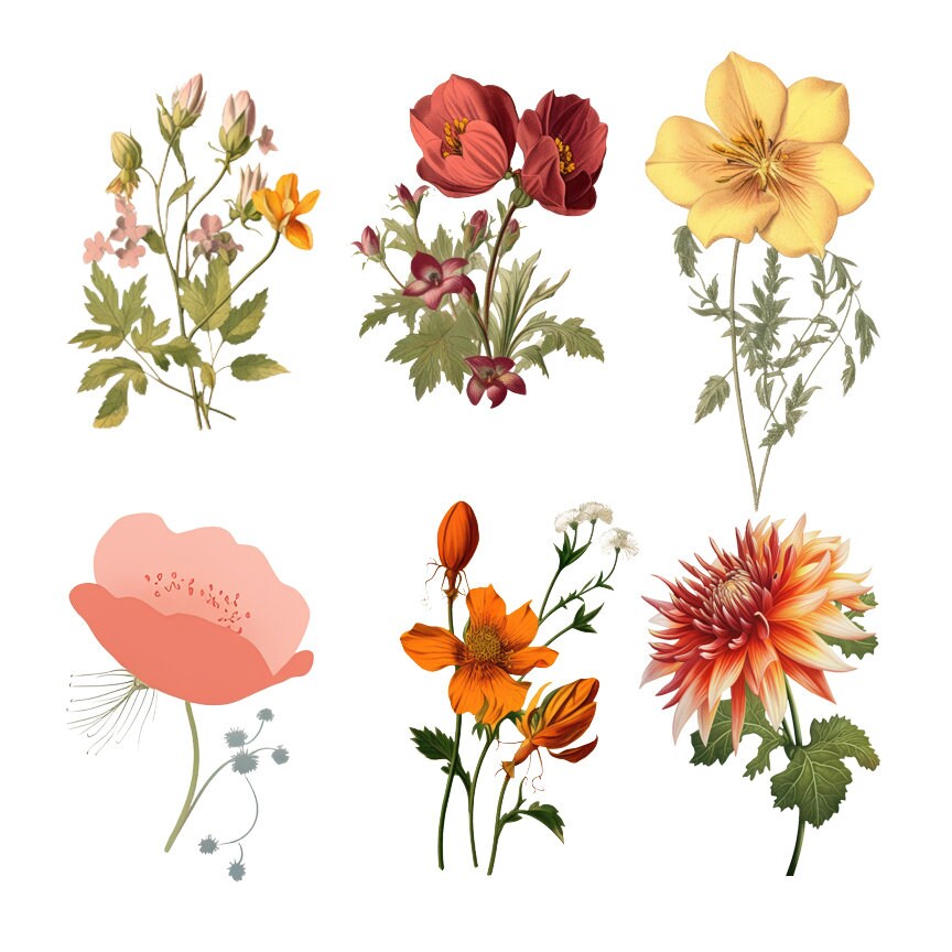 Flower Clip Art Bundle: 15 High-quality Digital Illustrations With Free ...