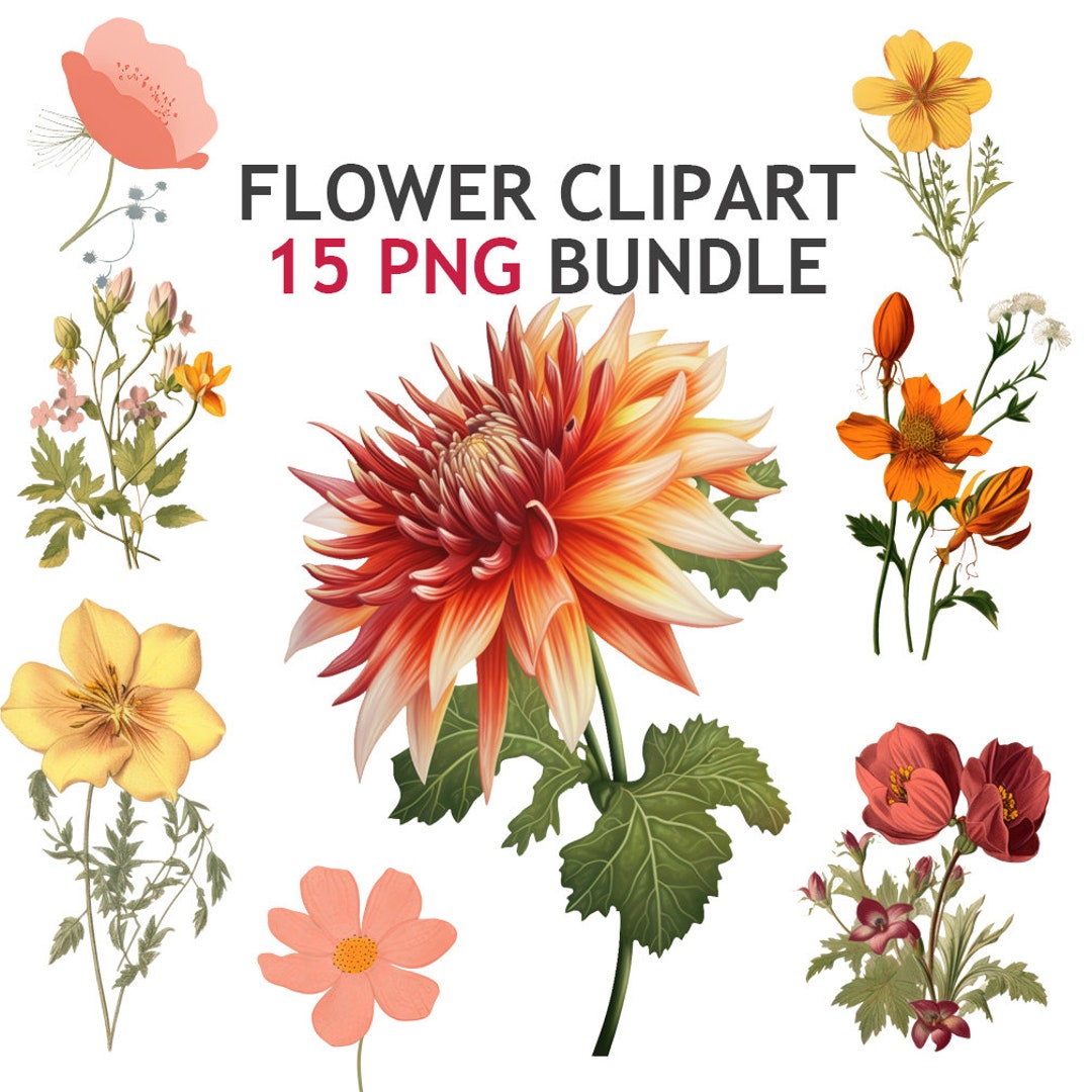 Flower Clip Art Bundle: 15 High-quality Digital Illustrations With Free ...
