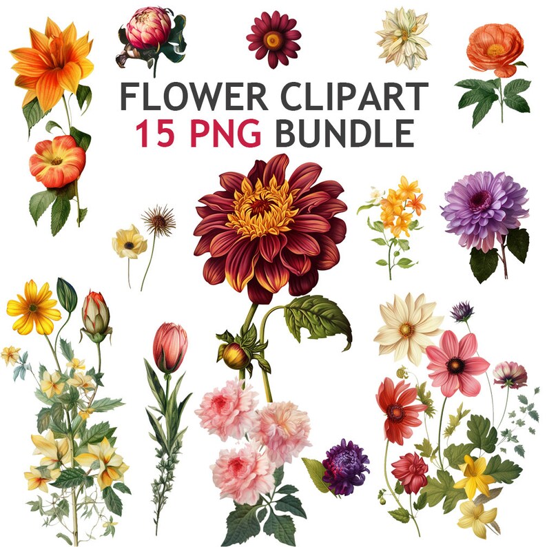 Flower Clipart Bundle: 15 High-resolution PNG Files With Transparent ...