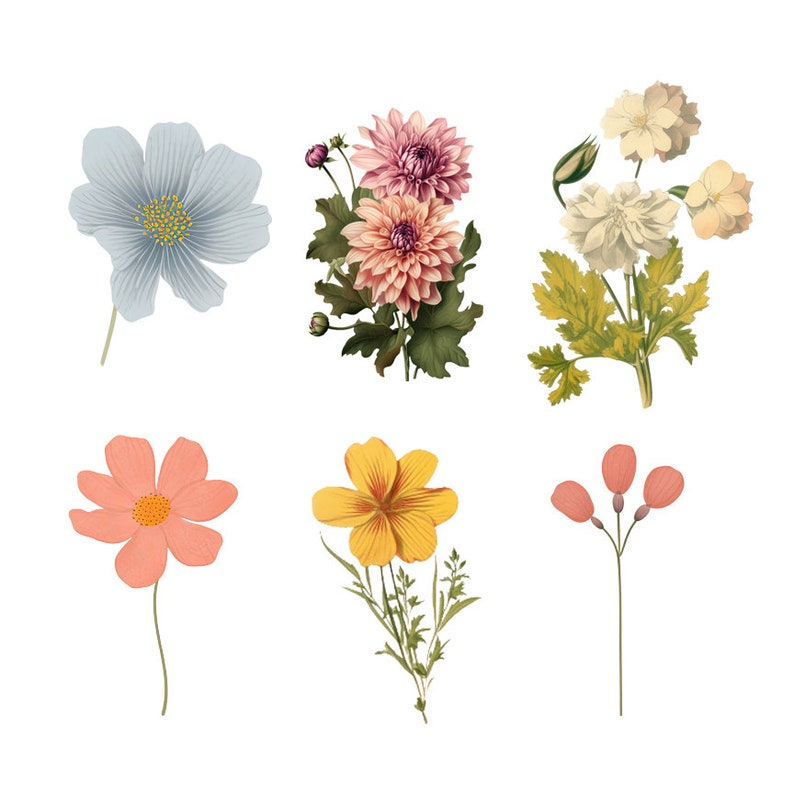 Flower Clip Art Bundle: 15 High-quality Digital Illustrations With Free ...