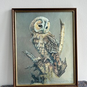 Vintage Framed Metallic Owl Print by Audrey North - Retro Dufex Foil ...