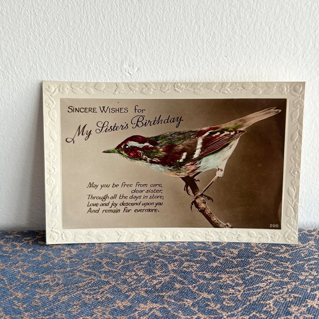 Vintage “sincere Wishes for My Sister” Bird Postcard - Midcentury ...