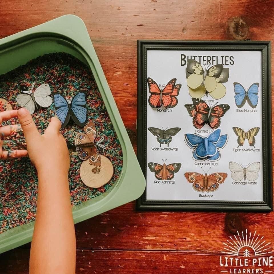 Butterflies- Fun Activities for Learning About and Butterfly ...