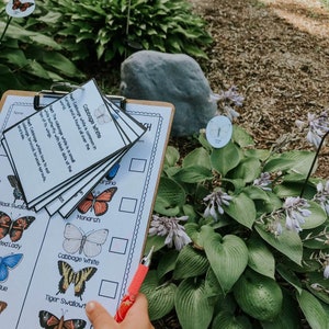 Butterflies- Fun Activities for Learning About and Butterfly ...