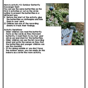 Butterflies- Fun Activities for Learning About and Butterfly ...