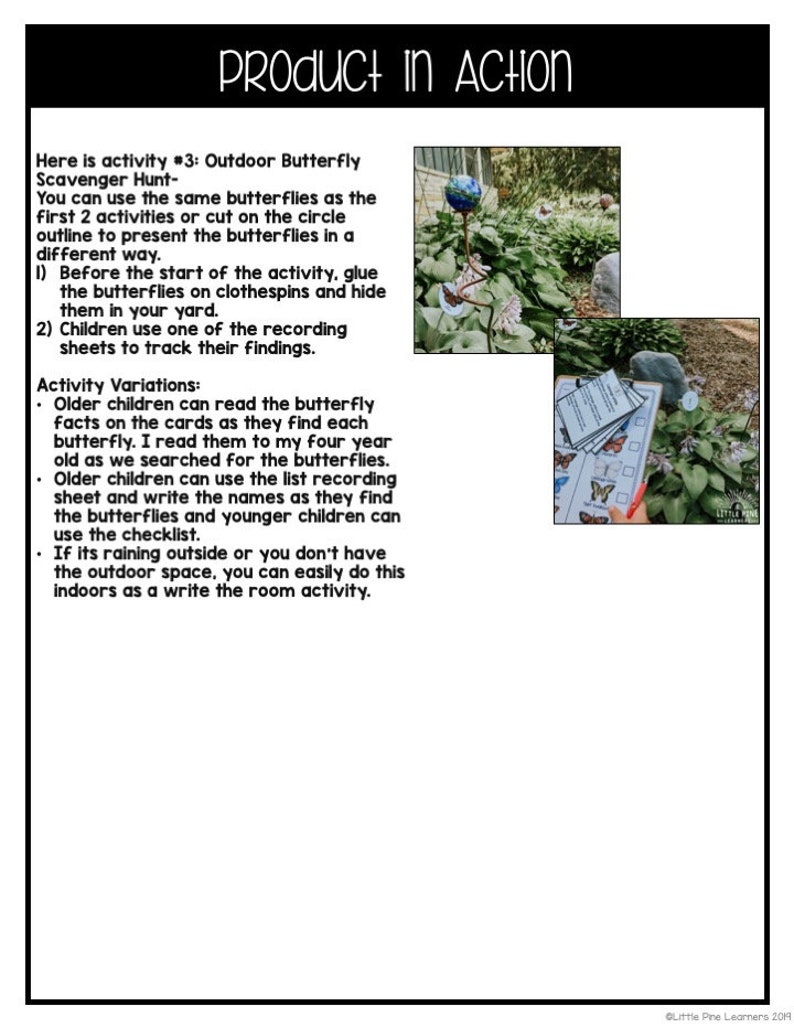 Butterflies- Fun Activities for Learning About and Butterfly ...