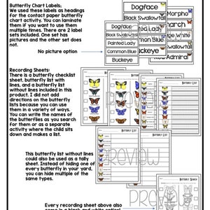 Butterflies- Fun Activities for Learning About and Butterfly ...