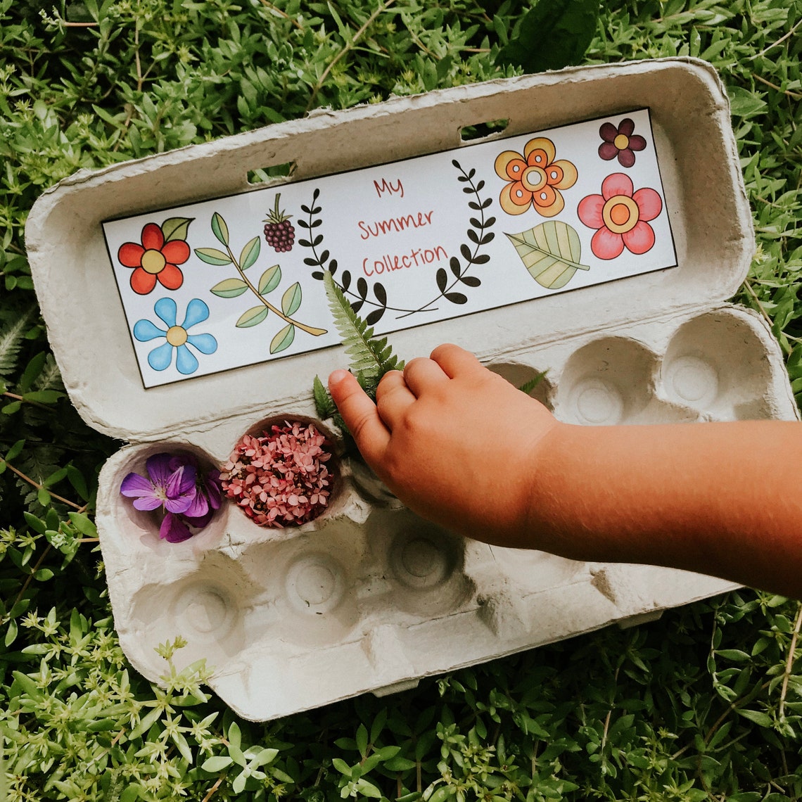 My Wild Find Collect Nature, Craft and Create - Etsy