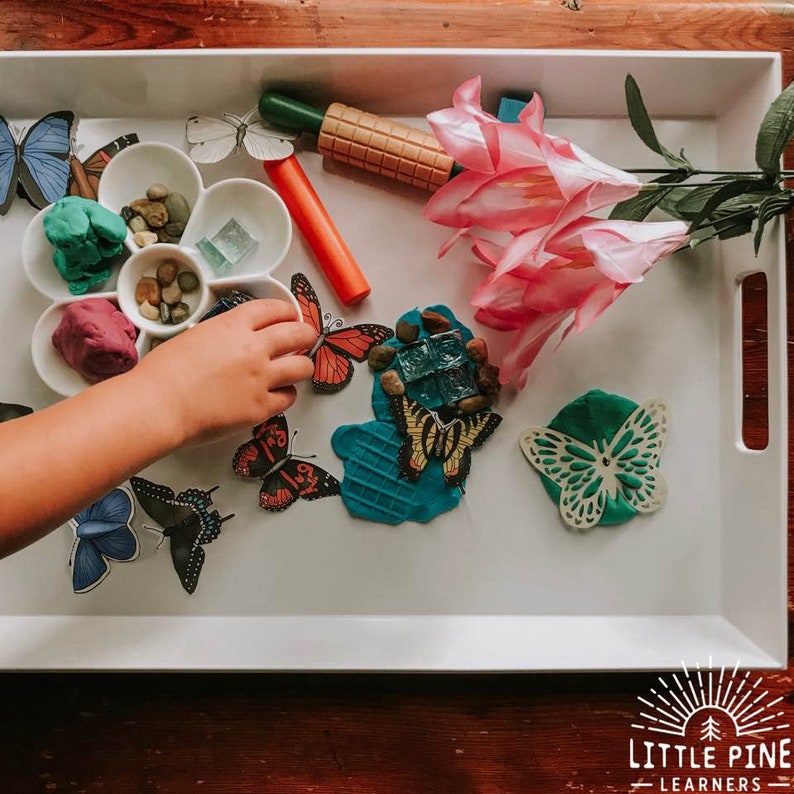 Butterflies- Fun Activities for Learning About and Butterfly ...