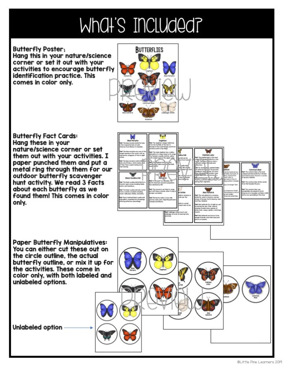 Butterflies- Fun Activities for Learning About and Butterfly ...