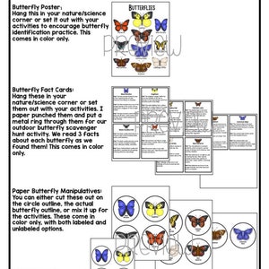 Butterflies- Fun Activities for Learning About and Butterfly ...