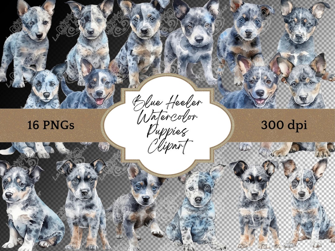 Blue Heeler Puppy Watercolor Dog Clipart for Junk Journal and ...