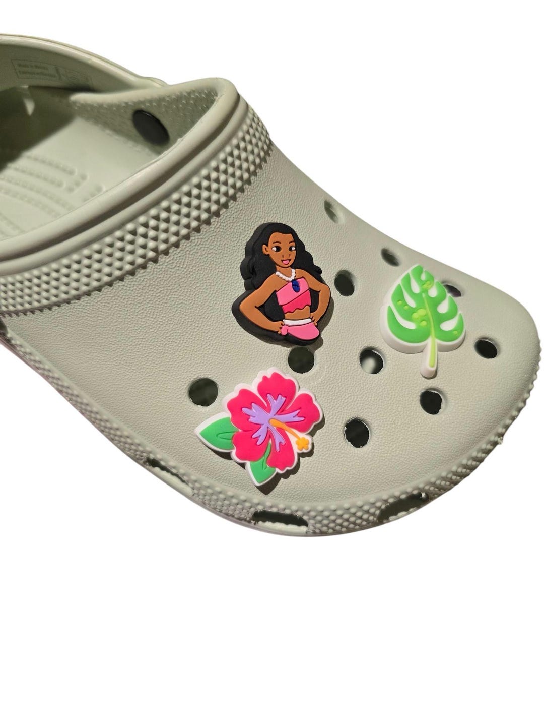 Clog Charms | Animated Character - Etsy