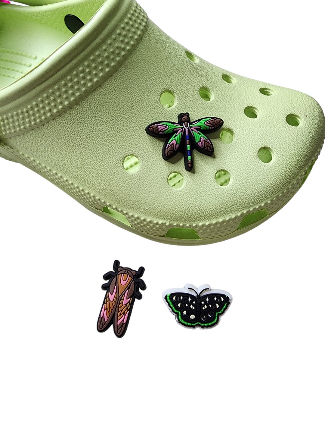 Bug Charms for Crocs Insects Dragon Fly, Moth & Cicada - Etsy