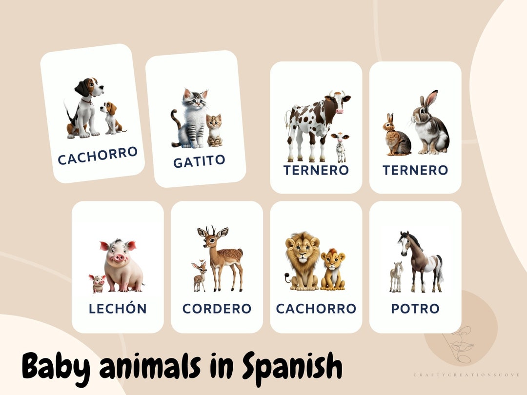 Baby Animals in Spanish Printable Flash Cards 16 Montessori - Etsy