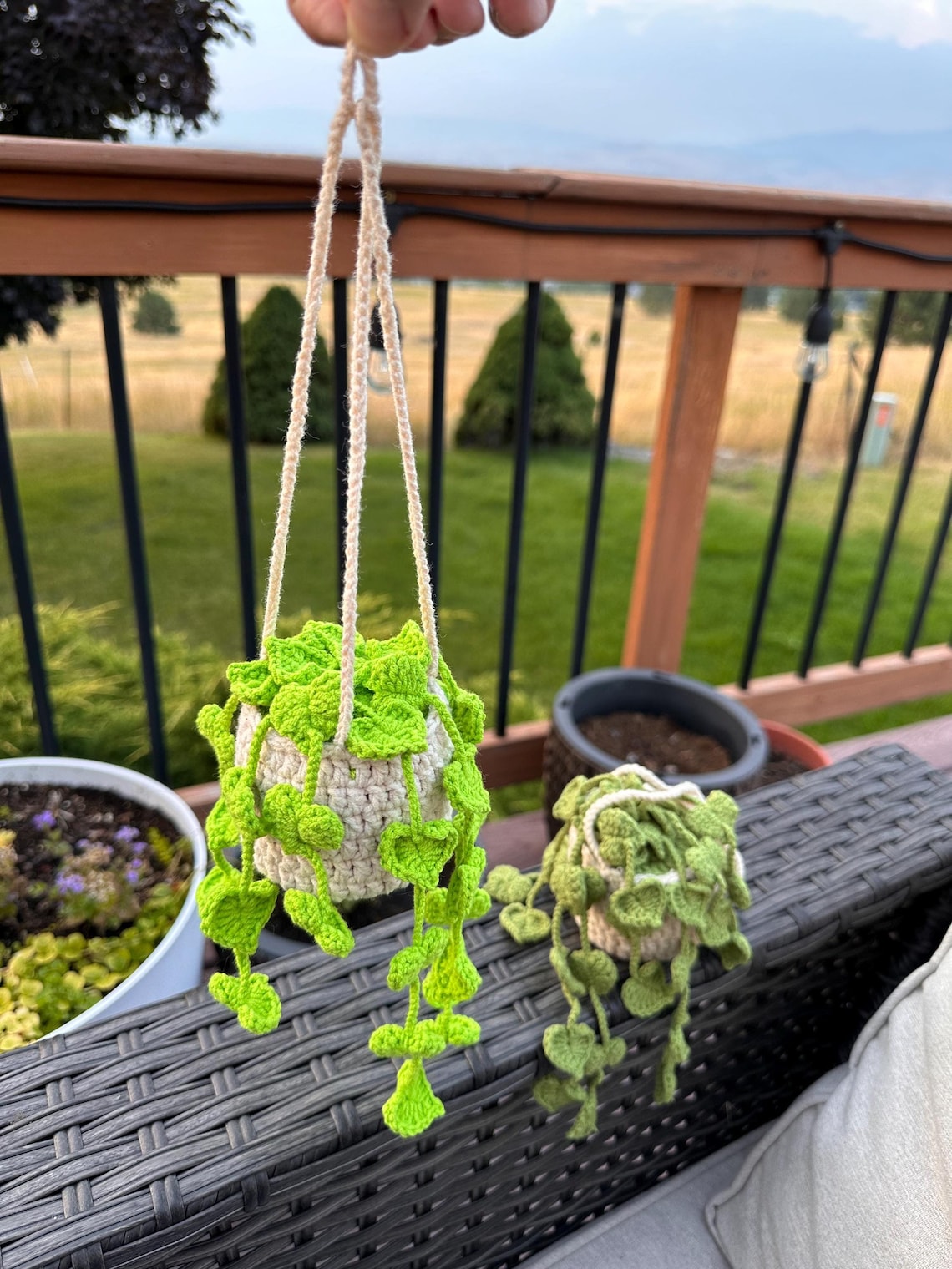 Crocheted Mini Hanging Plant - Etsy
