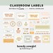 Printable Classroom Voice Levels Display, Editable Canva Template ...