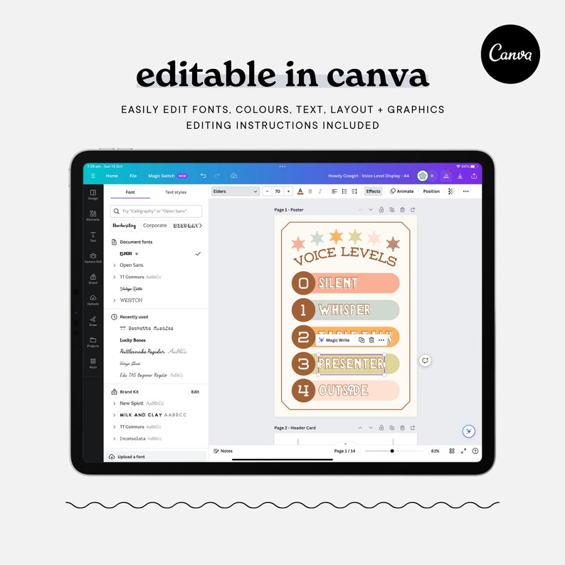 Printable Classroom Voice Levels Display, Editable Canva Template ...