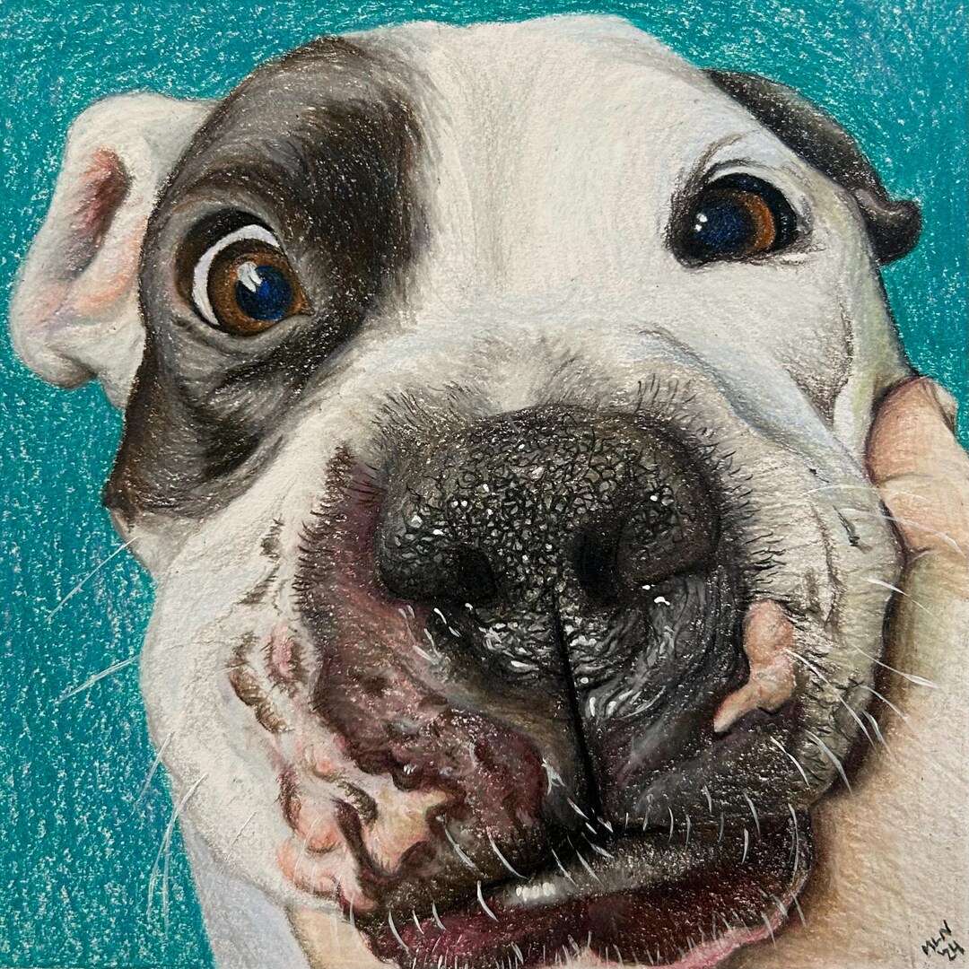 Custom Pet Drawings - Etsy