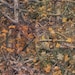 Vintage Camo Seamless Pattern: Realistic Hunting Texture (digital ...