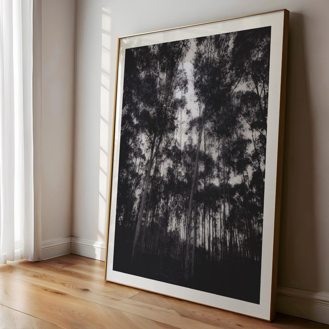 Australian Photography | Bush | Outback Landscape | Country | Farmhouse ...