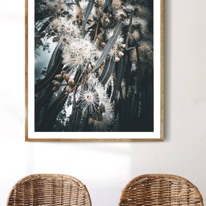 Australian Outback Photography Print: Farmhouse Decor Wall Art - Etsy