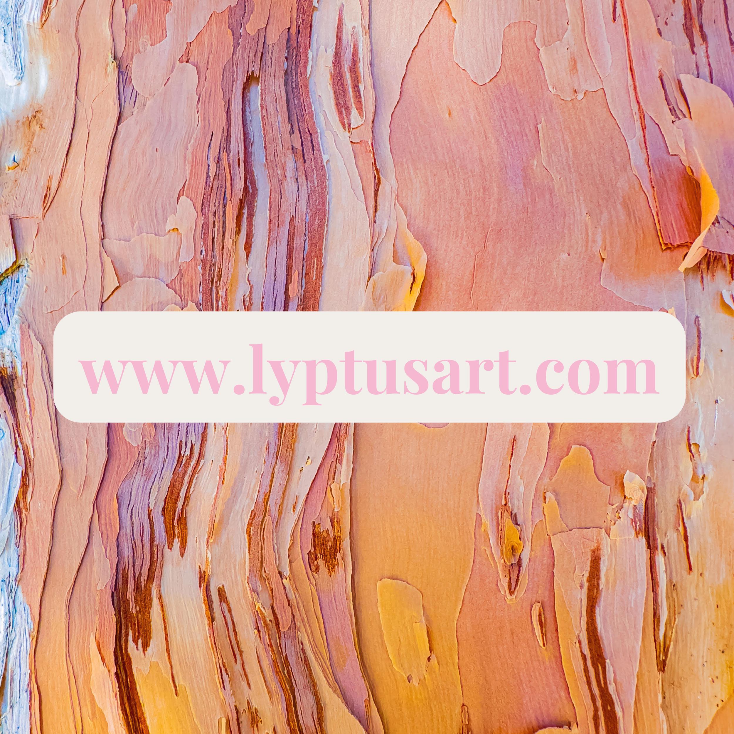 Australian Photography | Bush | Outback Landscape | Country | Farmhouse ...