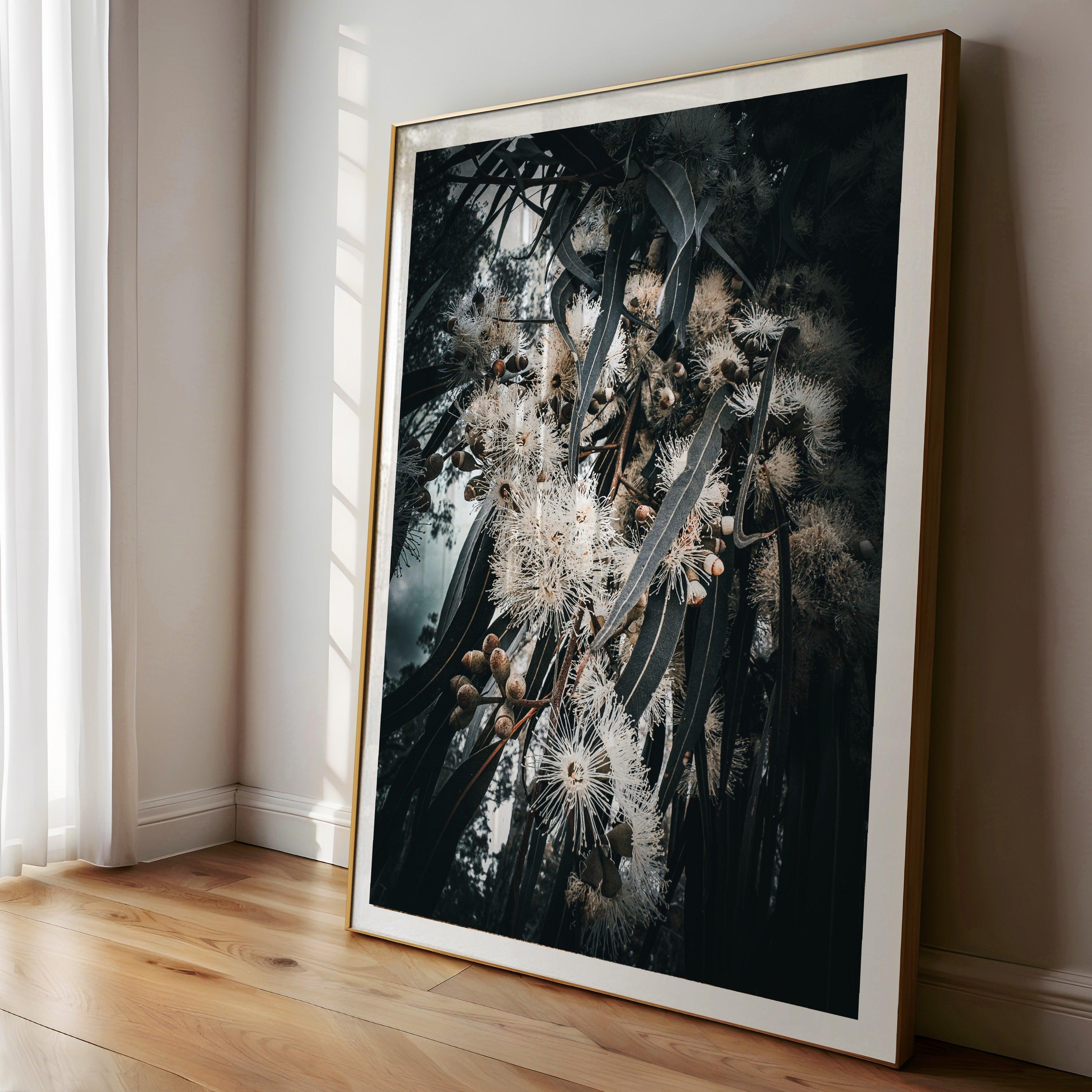 Australian Photography | Bush | Outback Landscape | Country | Farmhouse ...