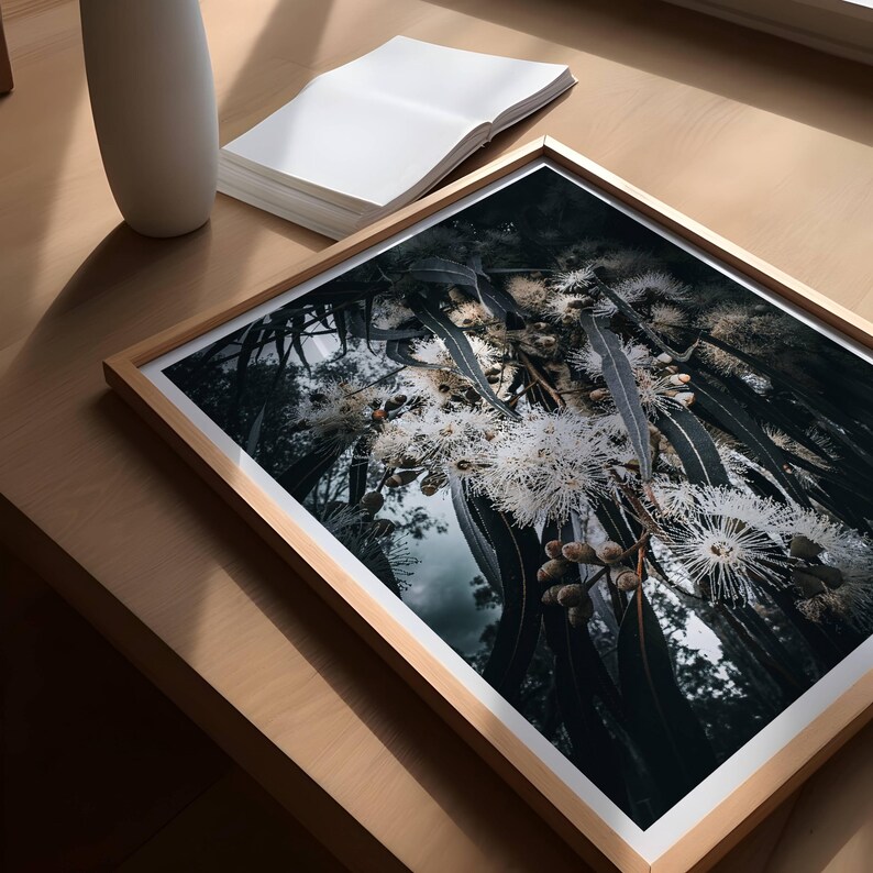 Australian Photography | Bush | Outback Landscape | Country | Farmhouse ...