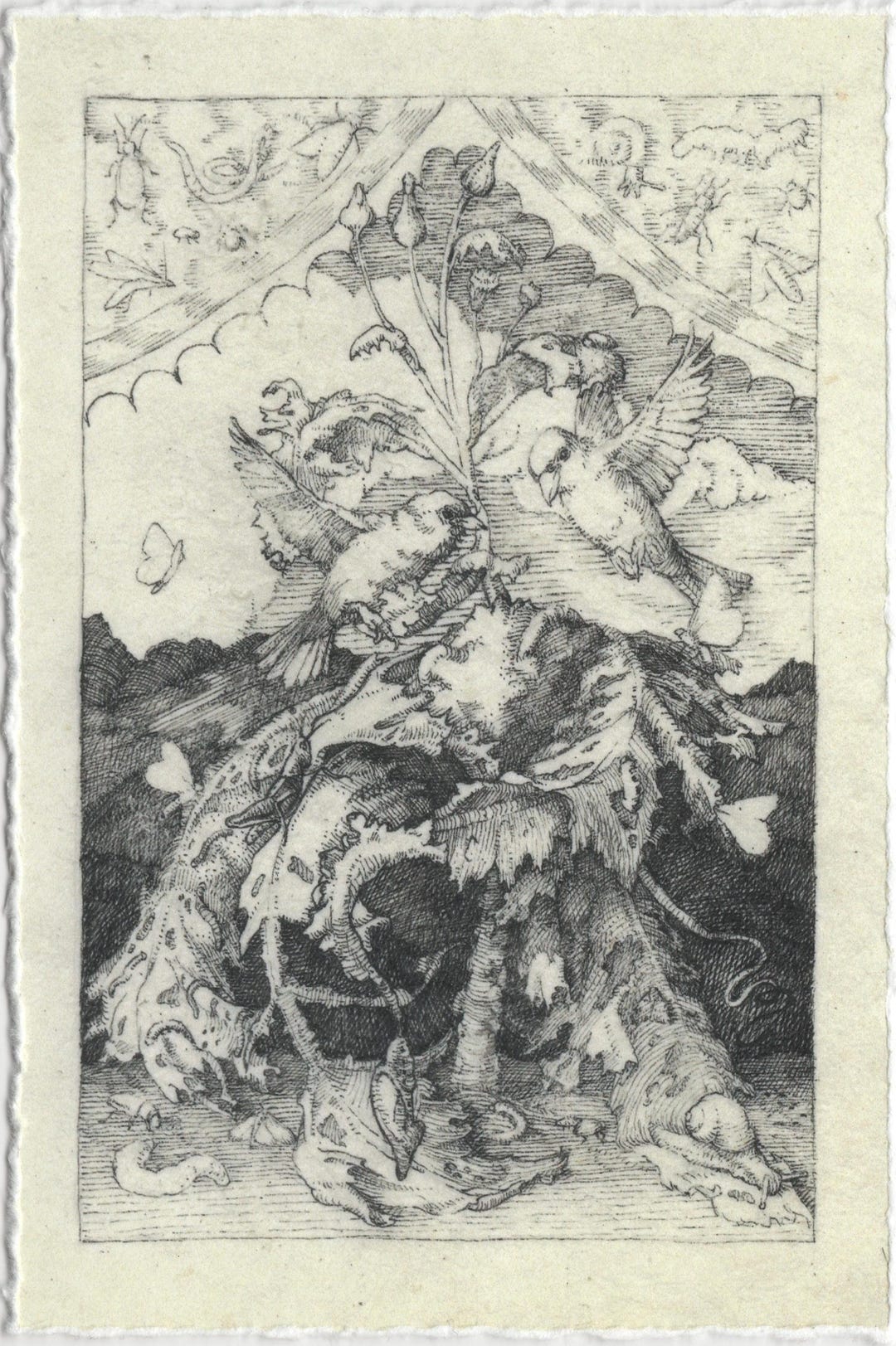 Fine Art Print of Ink Drawing 'abundance’ - Etsy