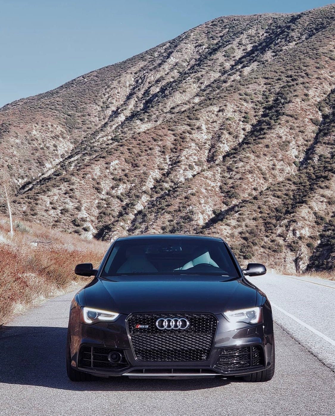 Audi RS5 Honeycomb Front Grille 2013-2016 B8.5 A5/S5 - Etsy