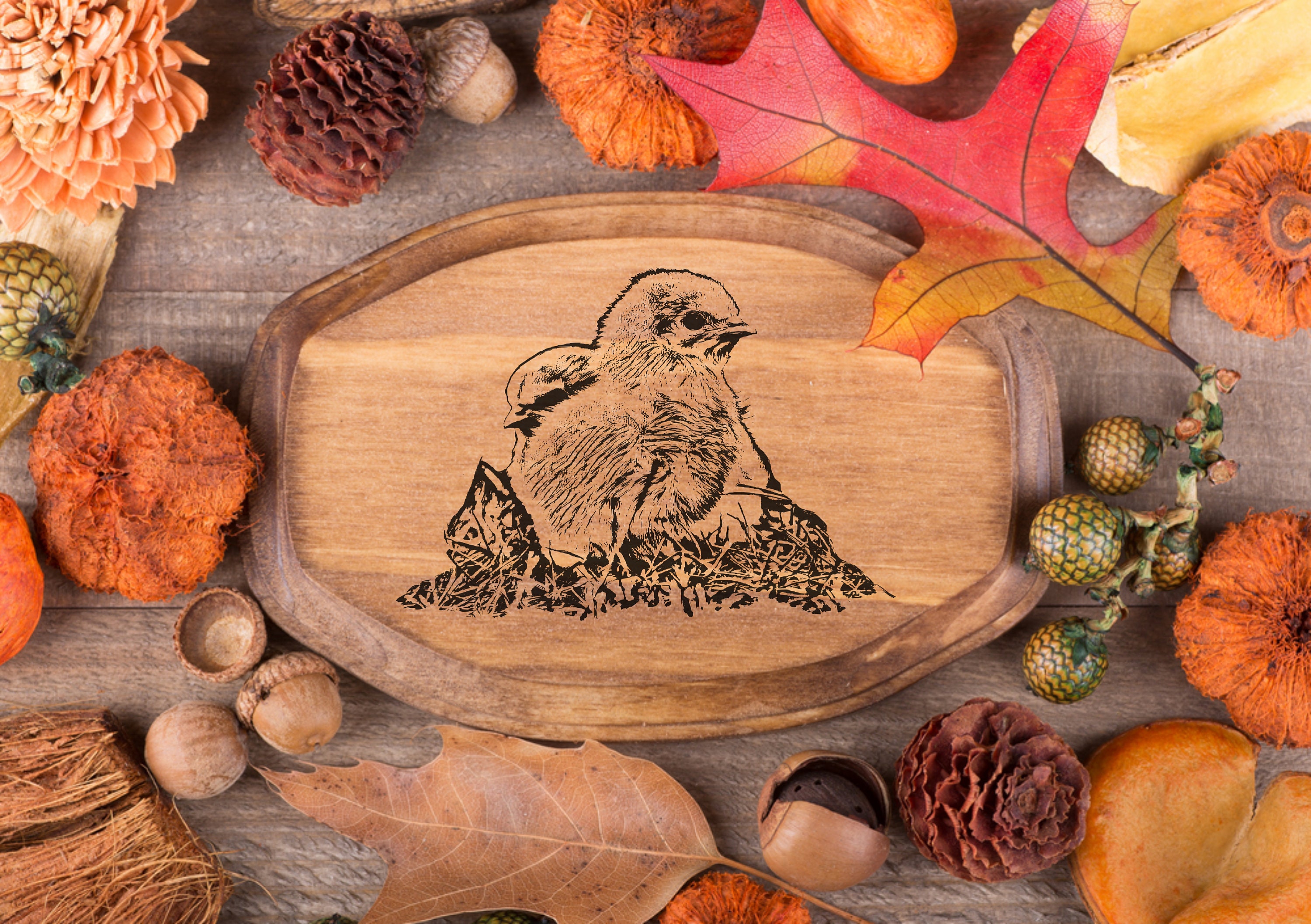 Laser Engrave File, Chicken Svg and Png, CO2 Glowforge, Diode Laser ...