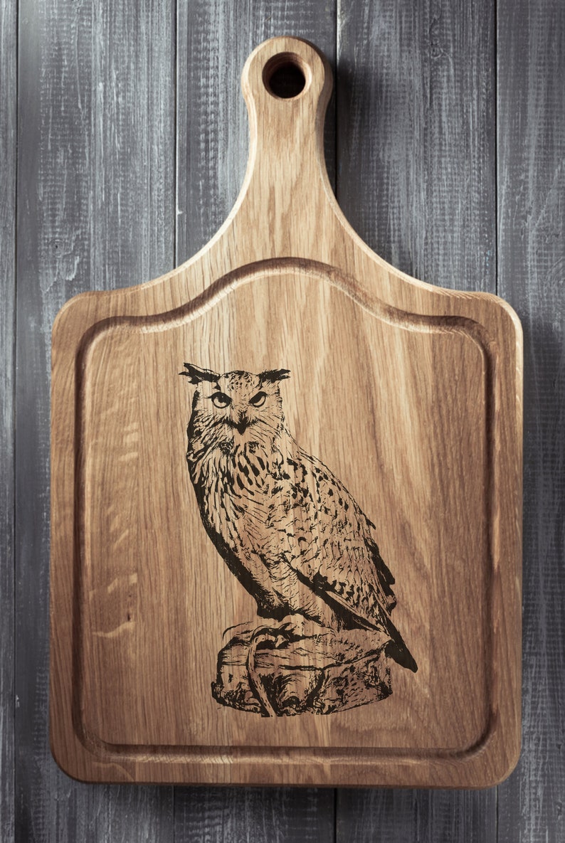 Laser Engrave File Owl Svg and Png CO2 Glowforge Diode - Etsy